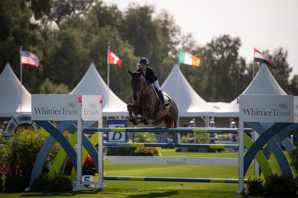 The Greenhorn Chronicles 28: Hayley Mercer on Personal Story and ...