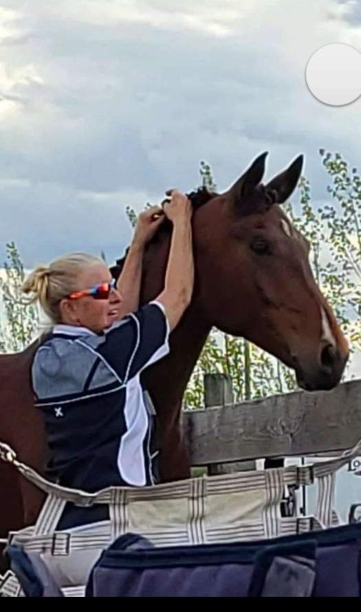 The Greenhorn Chronicles 49: Annette Case on Eventer Stereotypes and ...